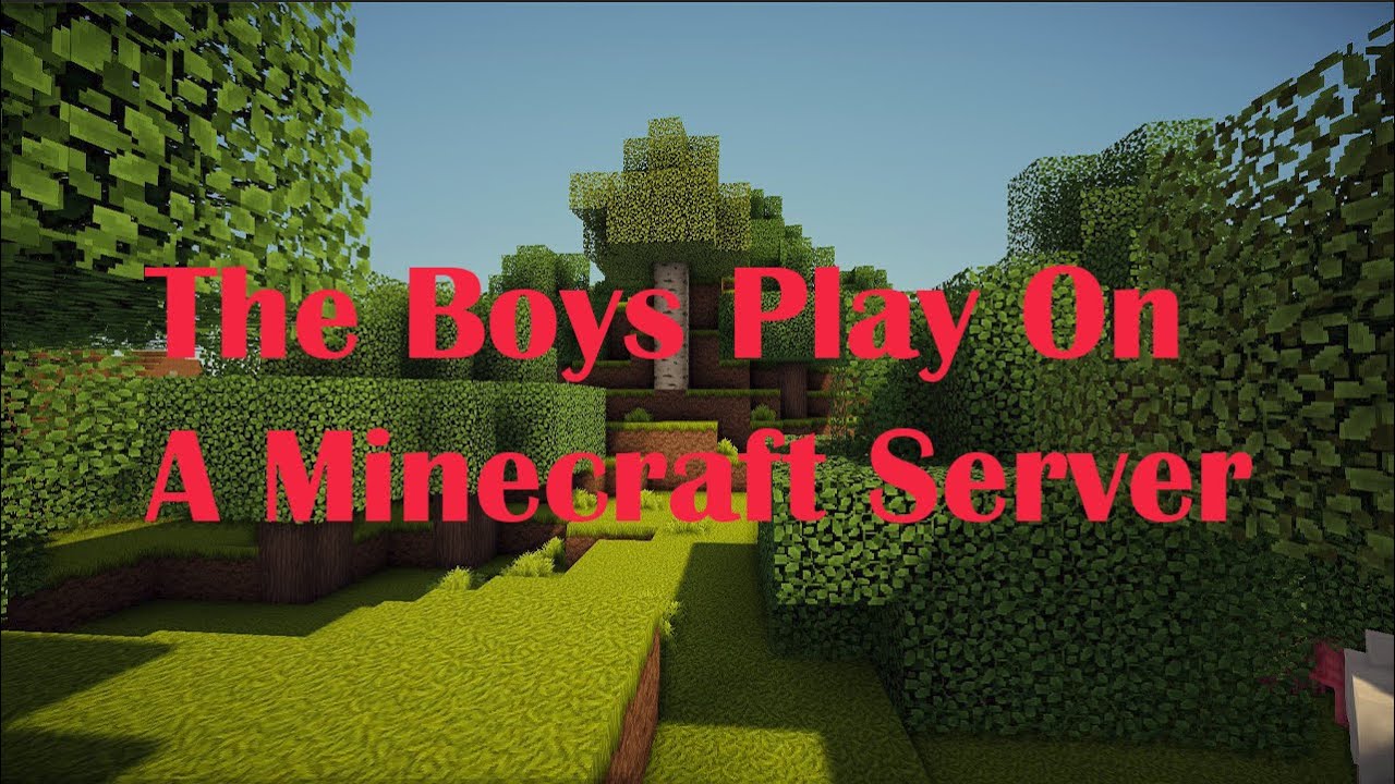The Boys Play On A Minecraft Server - YouTube