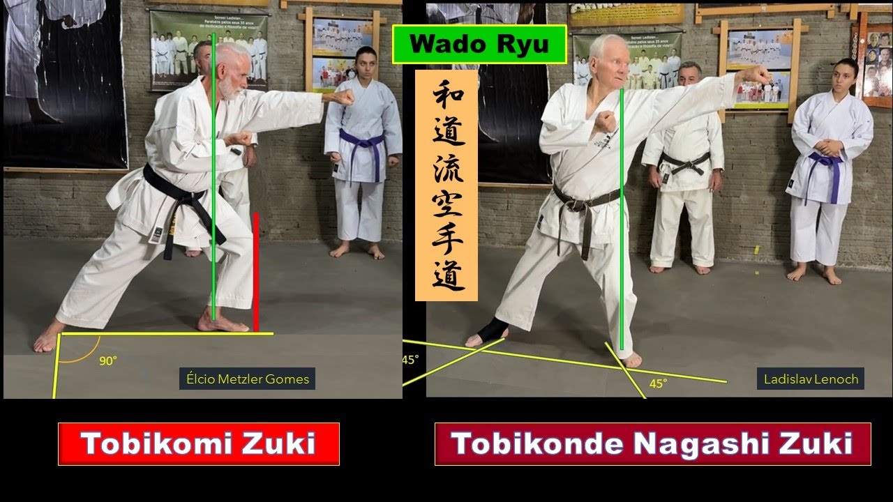 Tobikomi Zuki & Tobikonde Nagashi Zuki - Wado Ryu - YouTube