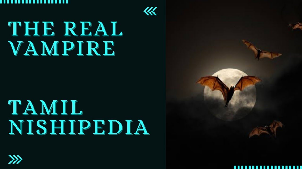 Story of real vampire | Peter Blagojevich | Haunted story Ep 2 | Tamil ...