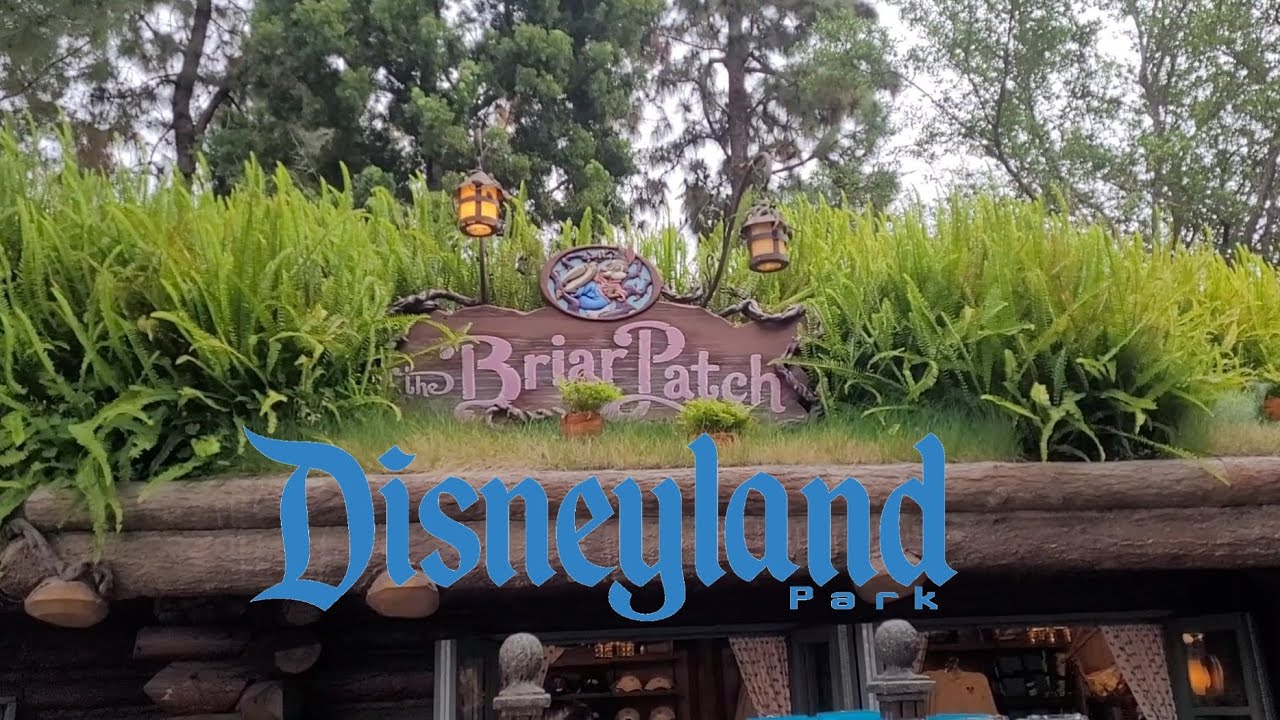 Briar Patch store tour - Disneyland Park (2023) - YouTube