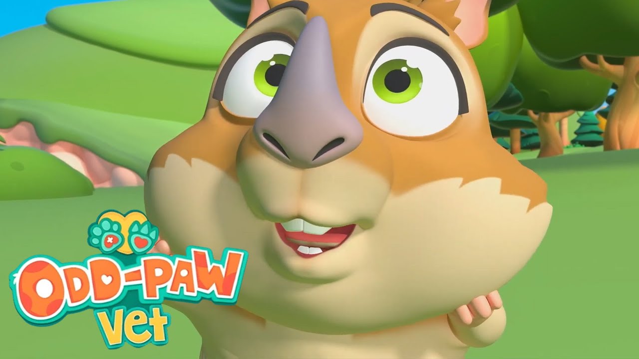 Rhamster Forgot The Water! | Odd-Paw Vets | Amazing Animal Rescues ...