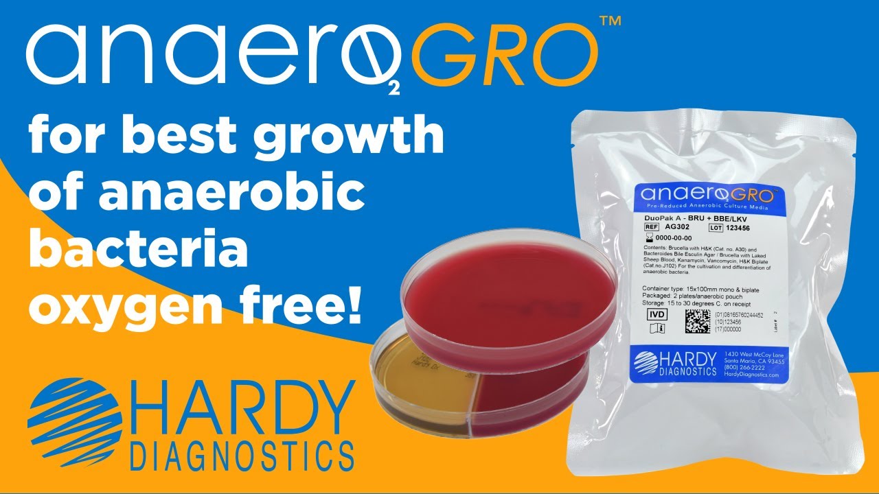 From Oxygen-Free to Growth: The Power of Pre-Reduced Anaerobic Culture ...