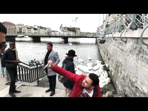 Fərda Amin — Cenevrədə (İsveçrə)  #shorts
