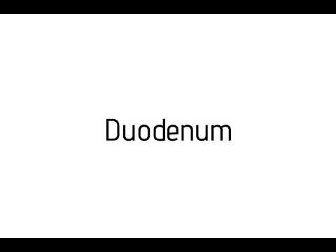 How to pronounce Duodenum / Duodenum pronunciation - YouTube