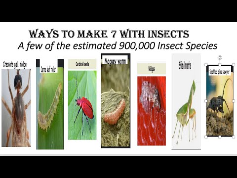 Fun With Numbers by Adding Ways to Make 7 With Insects #2 - YouTube