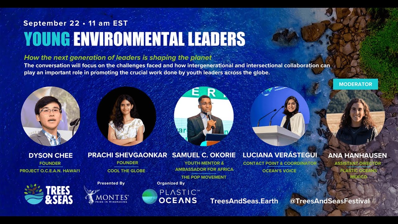 Young environmental leaders: How the next generation of leaders is ...