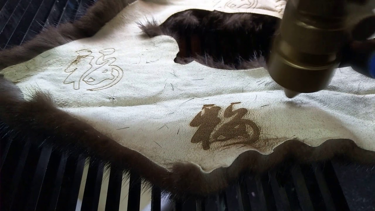 co2 laser cutting drawing machine drawing fur - YouTube
