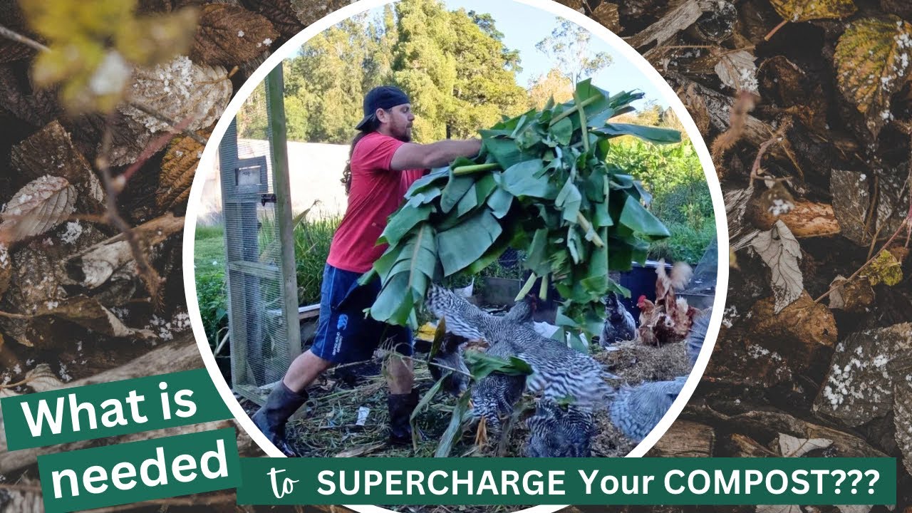 Discover the Key Ingredient for Supercharging Your Compost Pile - YouTube