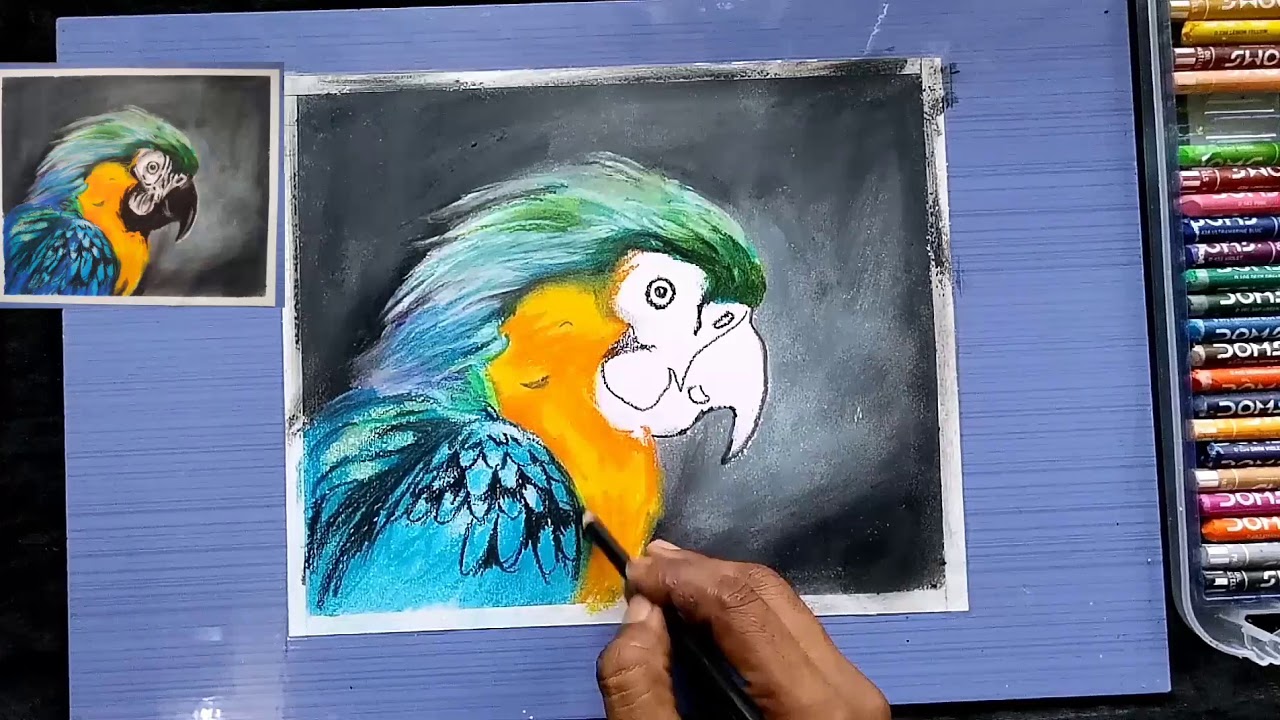 Oil pastel Bird painting step by step - YouTube