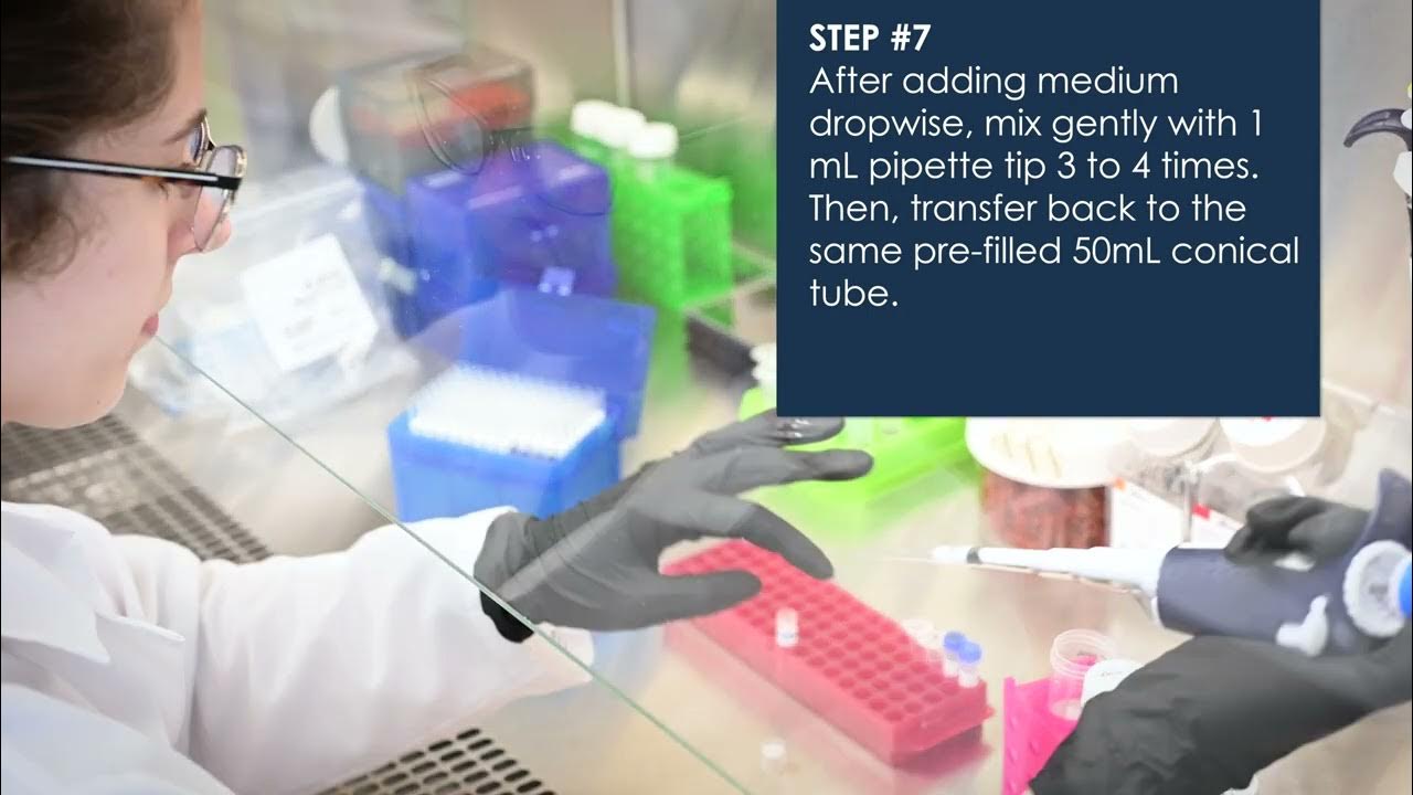 BrainXell Seeding Neurons Tutorial - YouTube