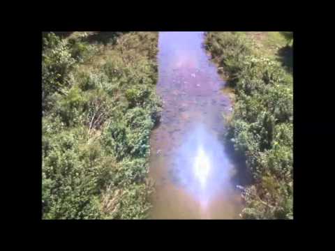 TRE, WINGS FT.KIERSTEN LEWIS - YouTube