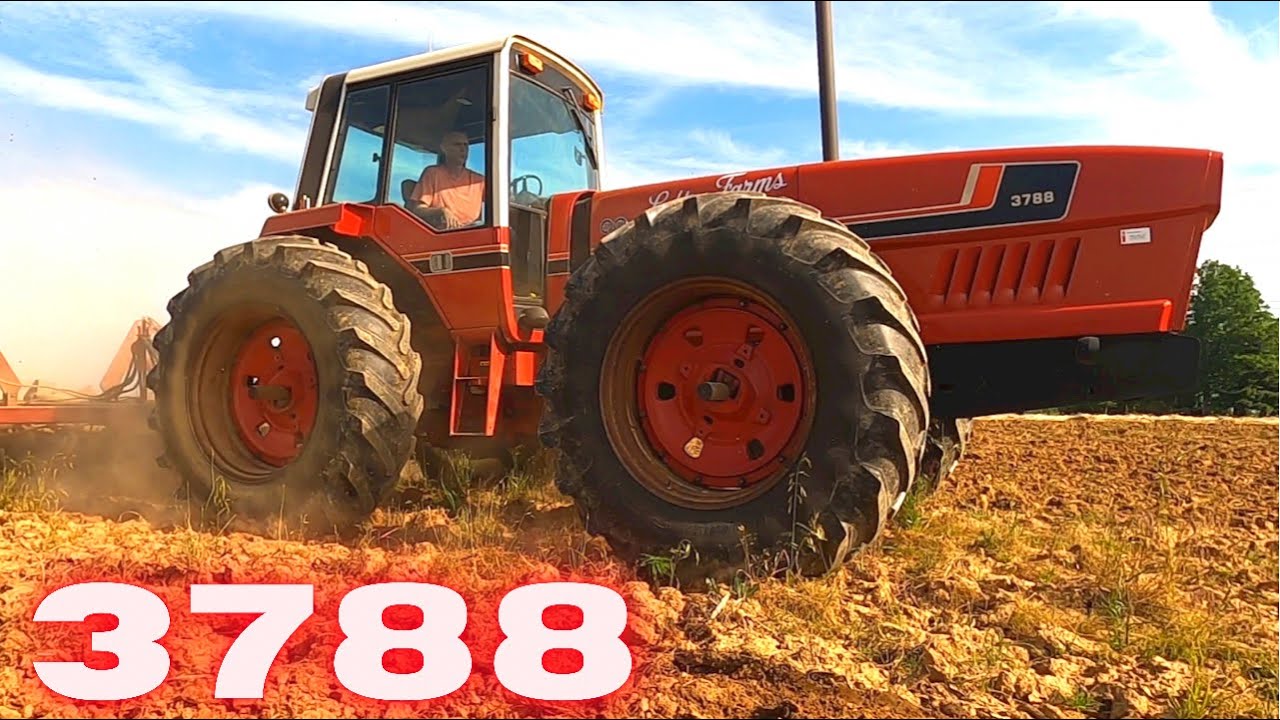 International 3788 disking ground with a IH 490 Disk (2021) - YouTube