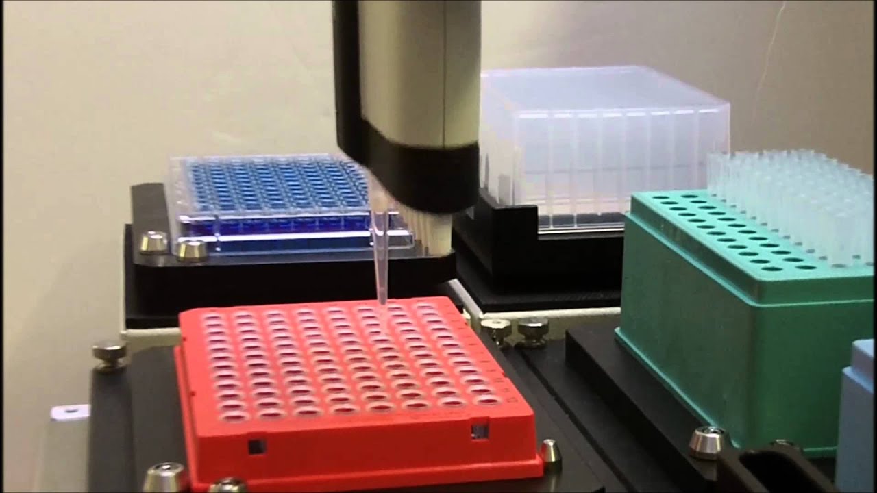 Automated DNA Normalization using the SOLO automated Pipettor - YouTube