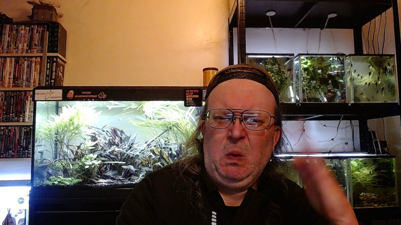 Sunday Sharpe: Pandad up - YouTube