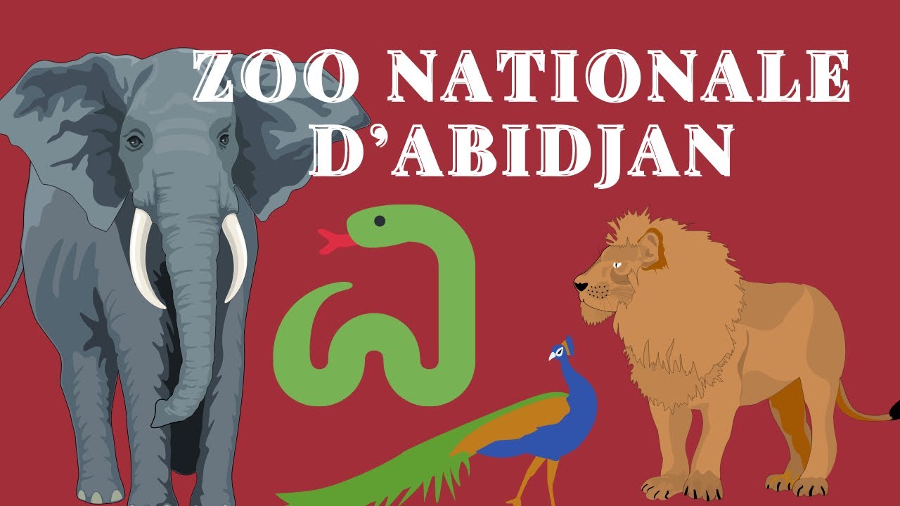 ABIDJAN - IS THE NATIONAL ZOO OF ABIDJAN WORTH A VISIT? ZOO NATIONALE D ...