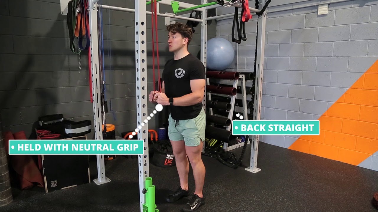How To Do Triceps Pushdown - Resistance Band | Exercise Demo - YouTube