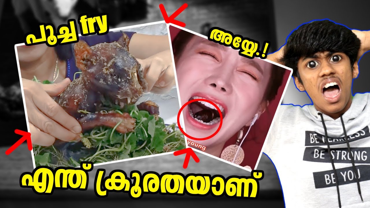 WEIRD FOOD REACTION !! പൂച്ച Fry 🤯 - YouTube