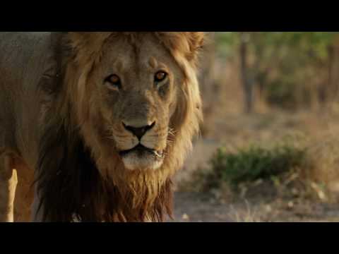 Exclusive Savage Kingdom Clip -  King Slayers