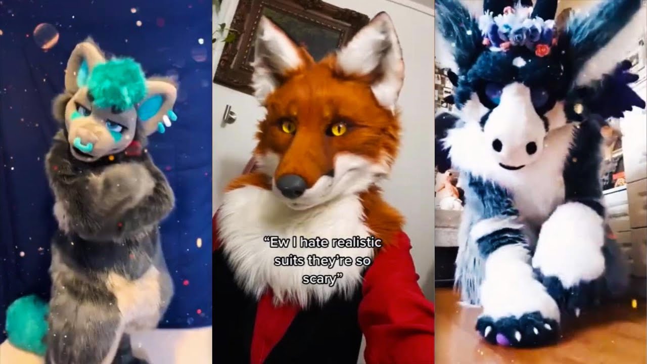 🐱 Furry Memes Videos- Dino Mask TikToks Compilation #8 - YouTube