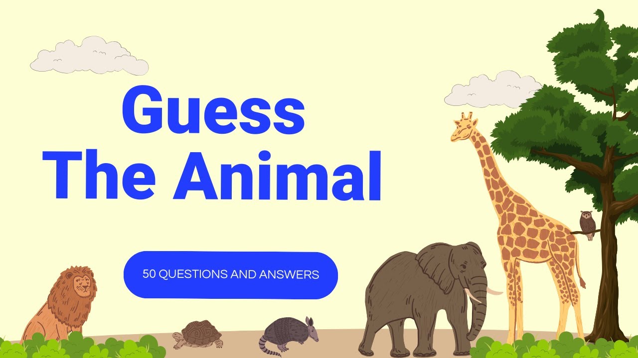 Can You Name These Animals? | Wildlife Quiz Challenge - YouTube