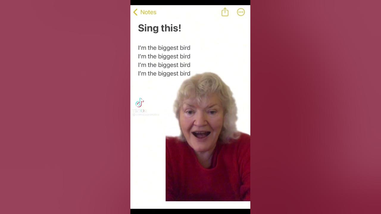 The Biggest Bird Youtube