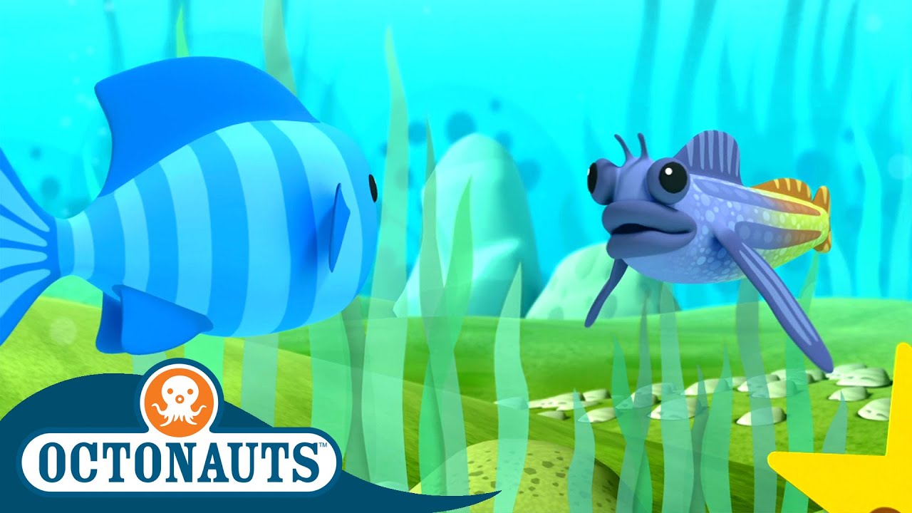 @Octonauts - The Helpful Combtooth Blenny Fish | Full Episode 27 ...