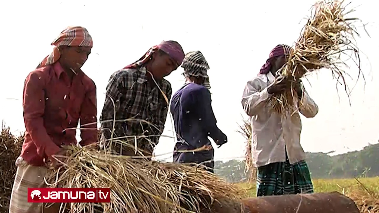 Nobanno Utshob (নবান্ন উৎসব) - YouTube