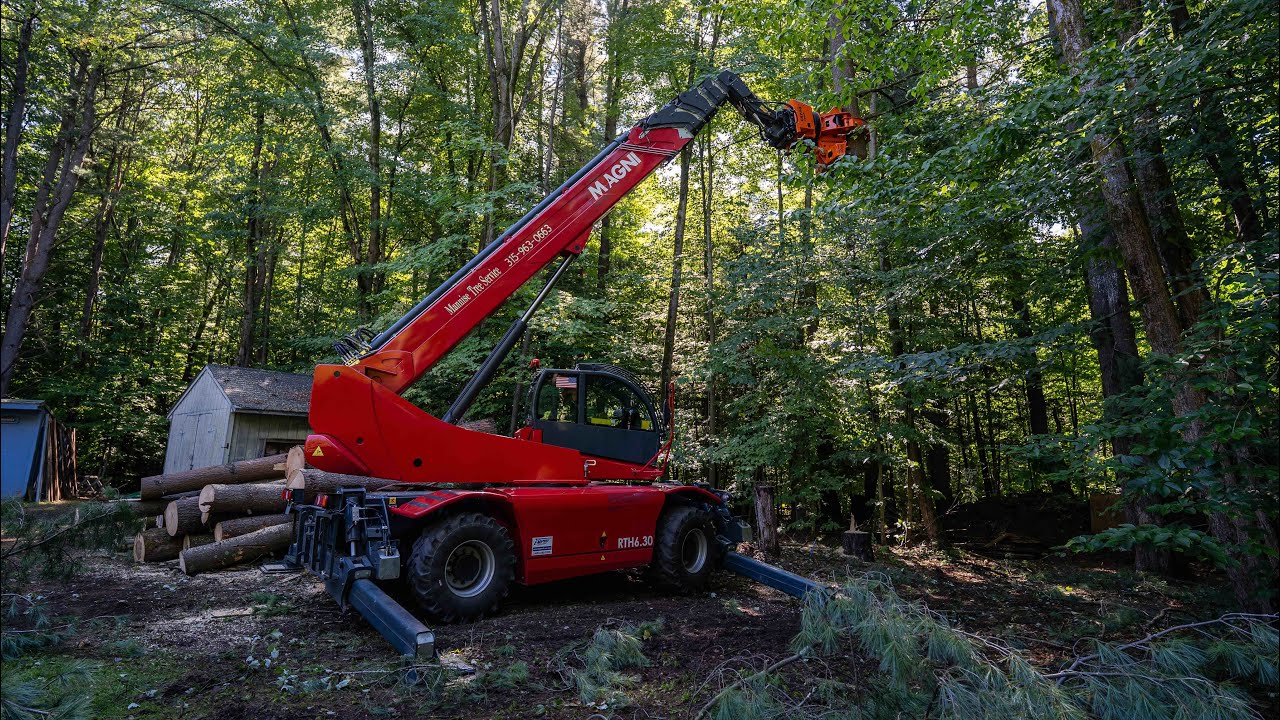 Magni Testimonial - Mannise Tree Service - YouTube