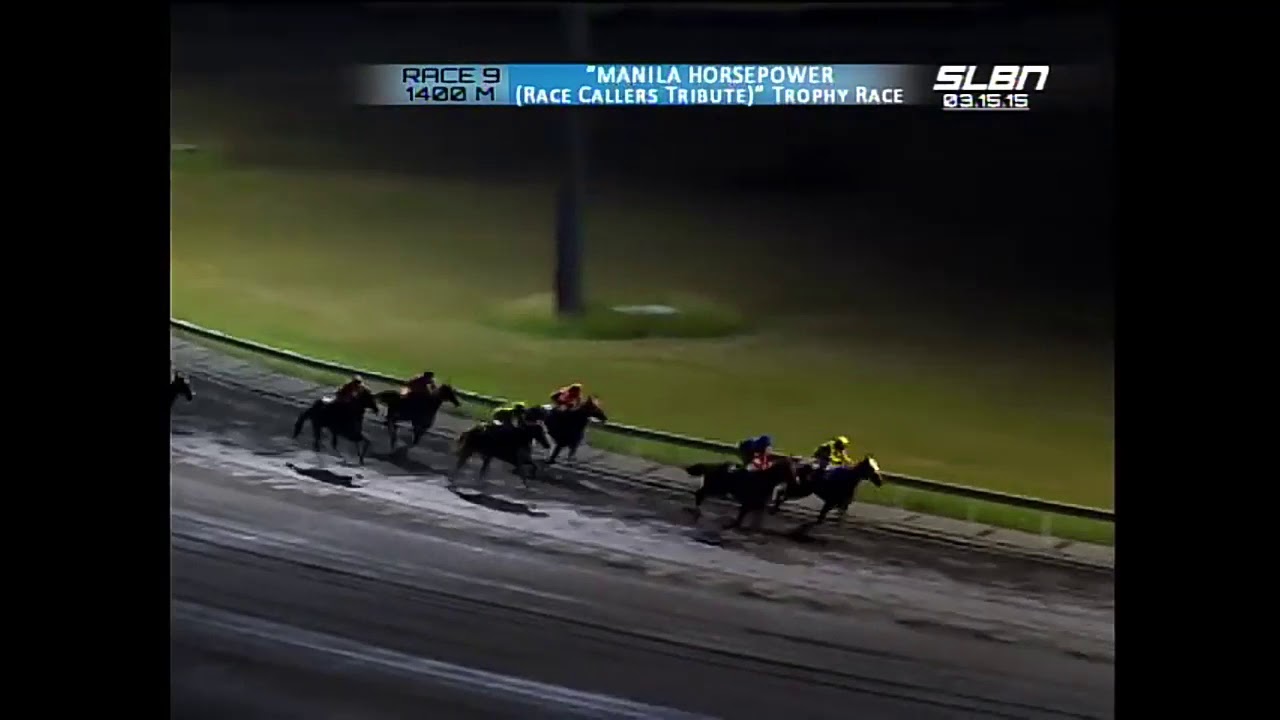 RACE CALLERS TRIBUTE TROPHY RACE ALL RACE CALLER IN ONE RACE - YouTube