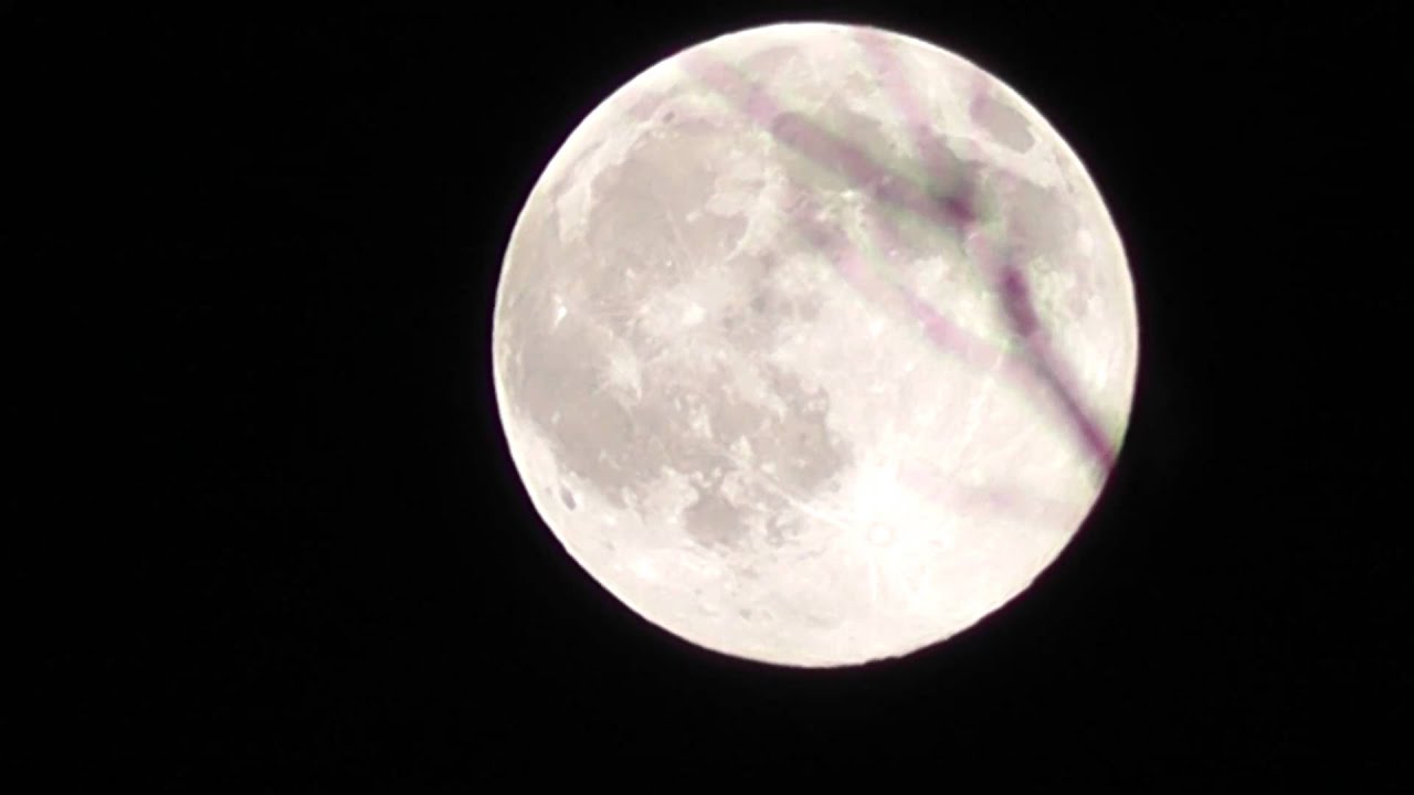 Bat Flies in Front of Full Moon - YouTube