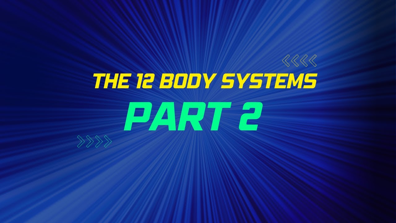 The Body Systems Part 2 | For Beginners - YouTube