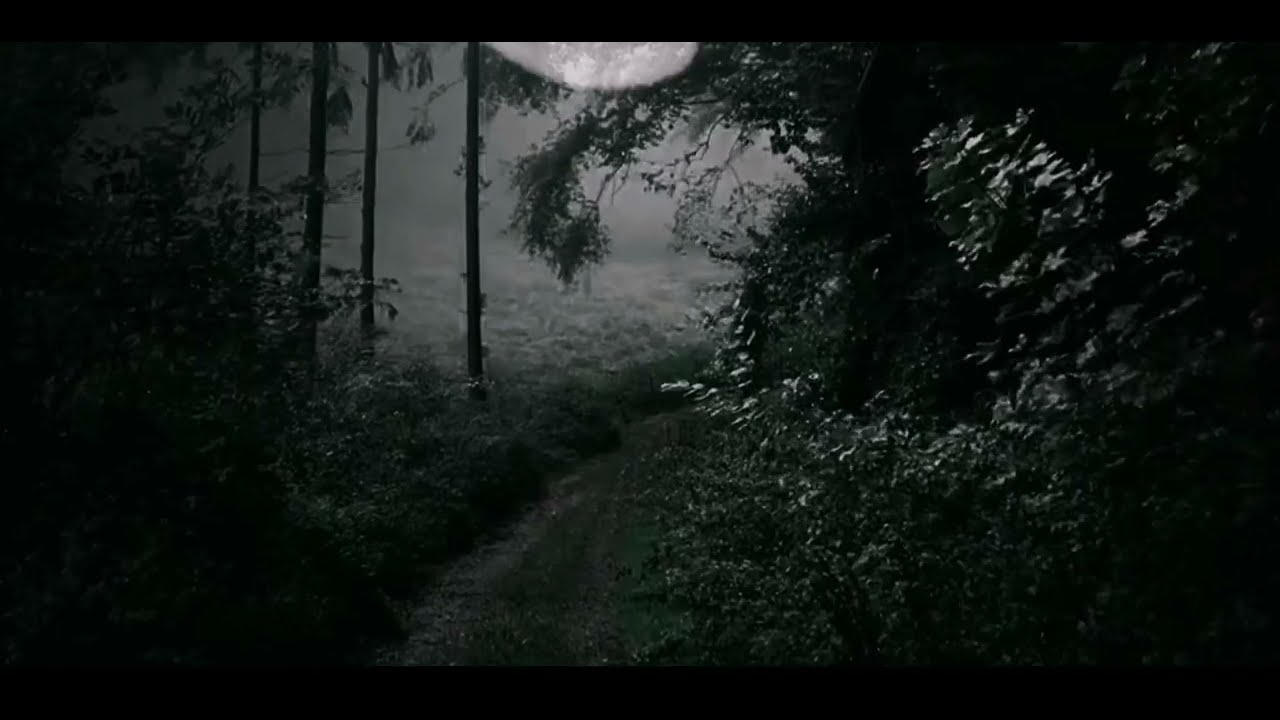 1. trailer to my own horror (the Last Scream) - YouTube