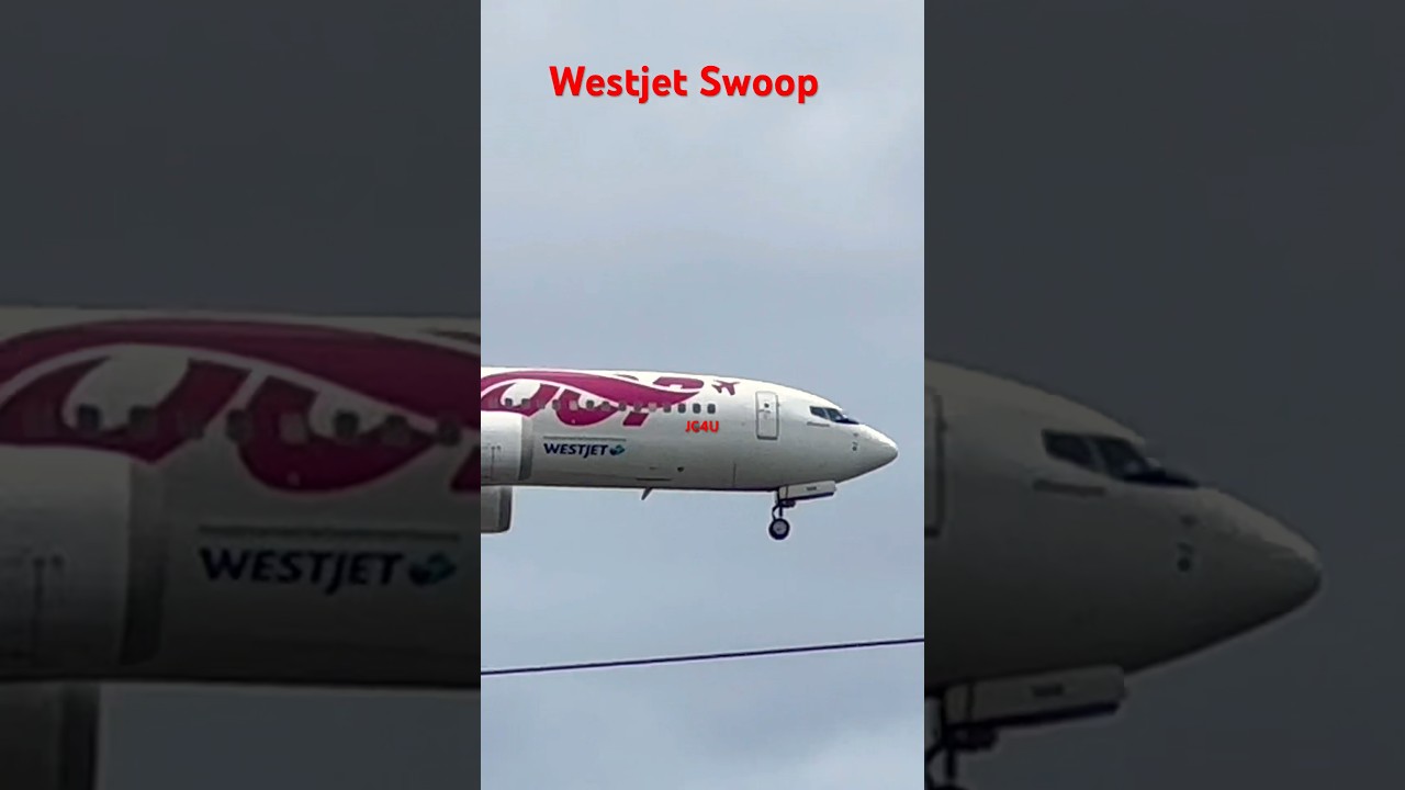 Westjet Swoop WS2033, Boeing 737 MAX-8, REG. C-GORP, GEORGE TOWN- YYZ ...