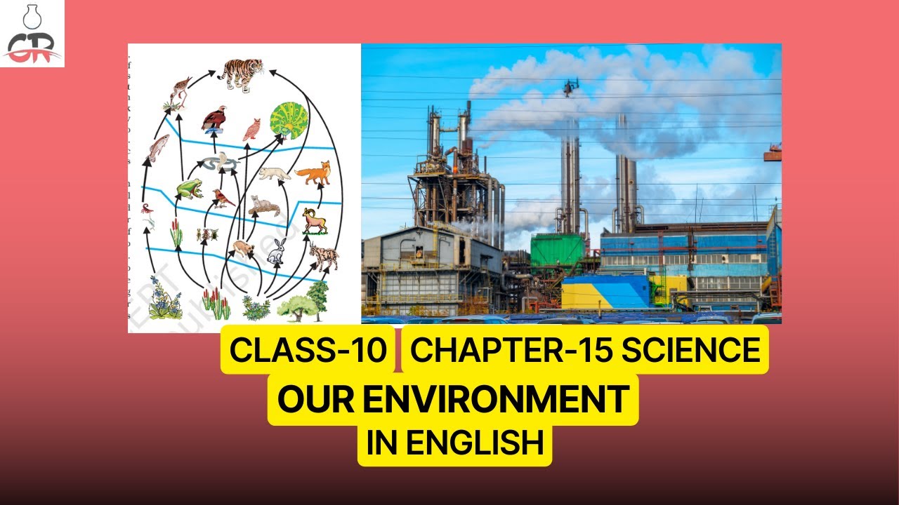 Our Environment Class 10 Chapter 15 Science In English One Shot NEET ...