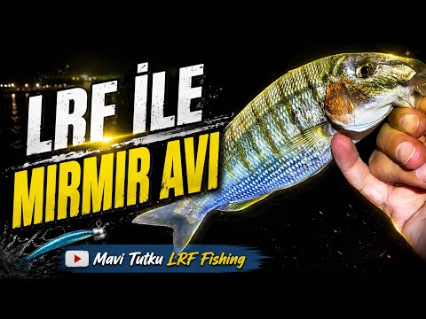 🎣 SEZONUN İLK LRF MIRMIR AVI! | LRF ile İlk Mırmırlar Geldi | İstanbul LRF Avı