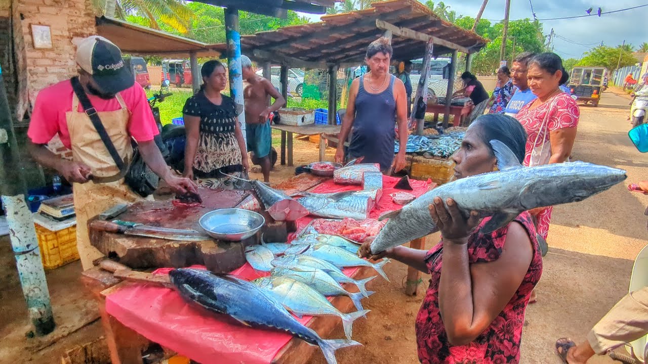 Exploring Vibrant Local Fish Market | Fresh Catch of the Day - YouTube