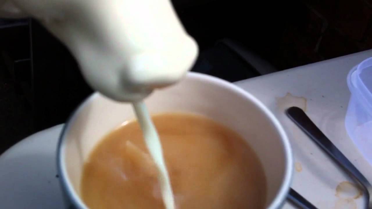 Vomiting Cow - YouTube