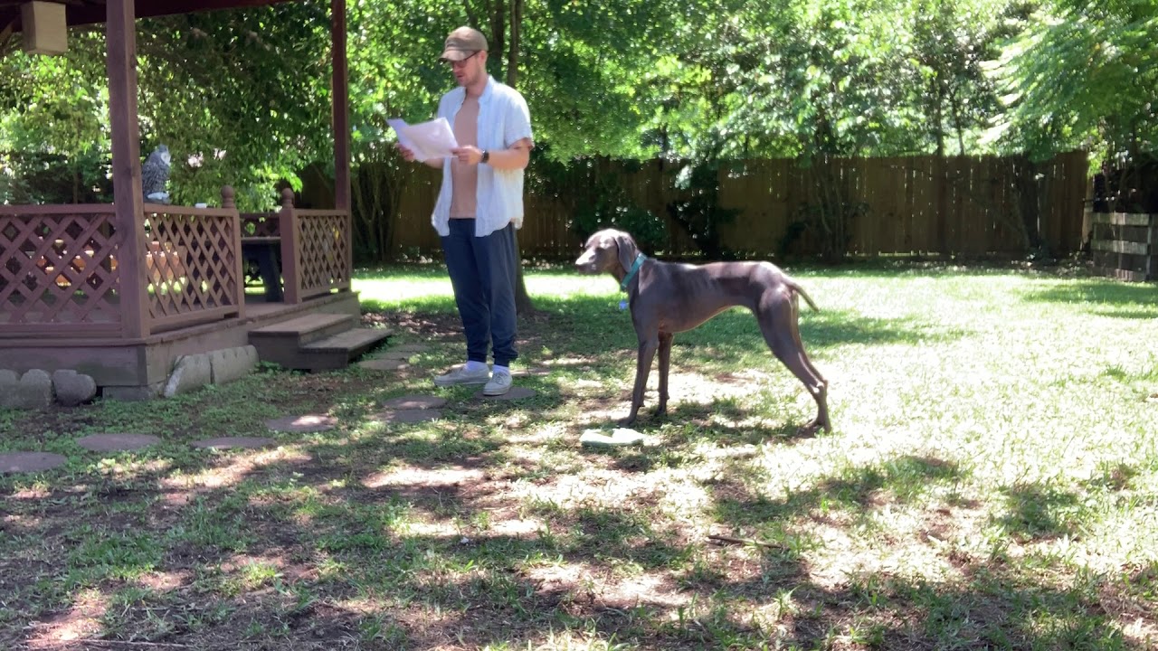 Wrap Up Training Tips with Skye - YouTube