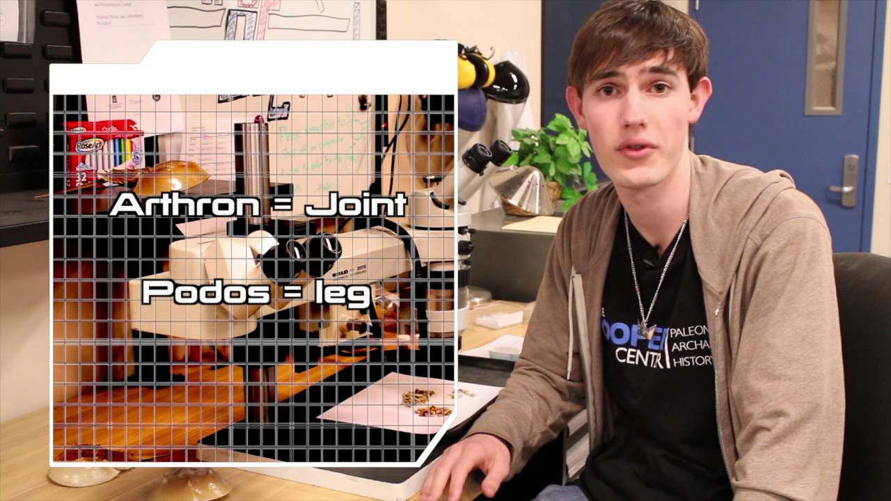 Friday Fossil Mystery - Ep.27 - Crustacean chela (claw) - YouTube