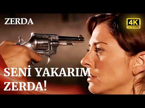 Ben Senin Kuman Olmayacağım Şahin!  | Zerda