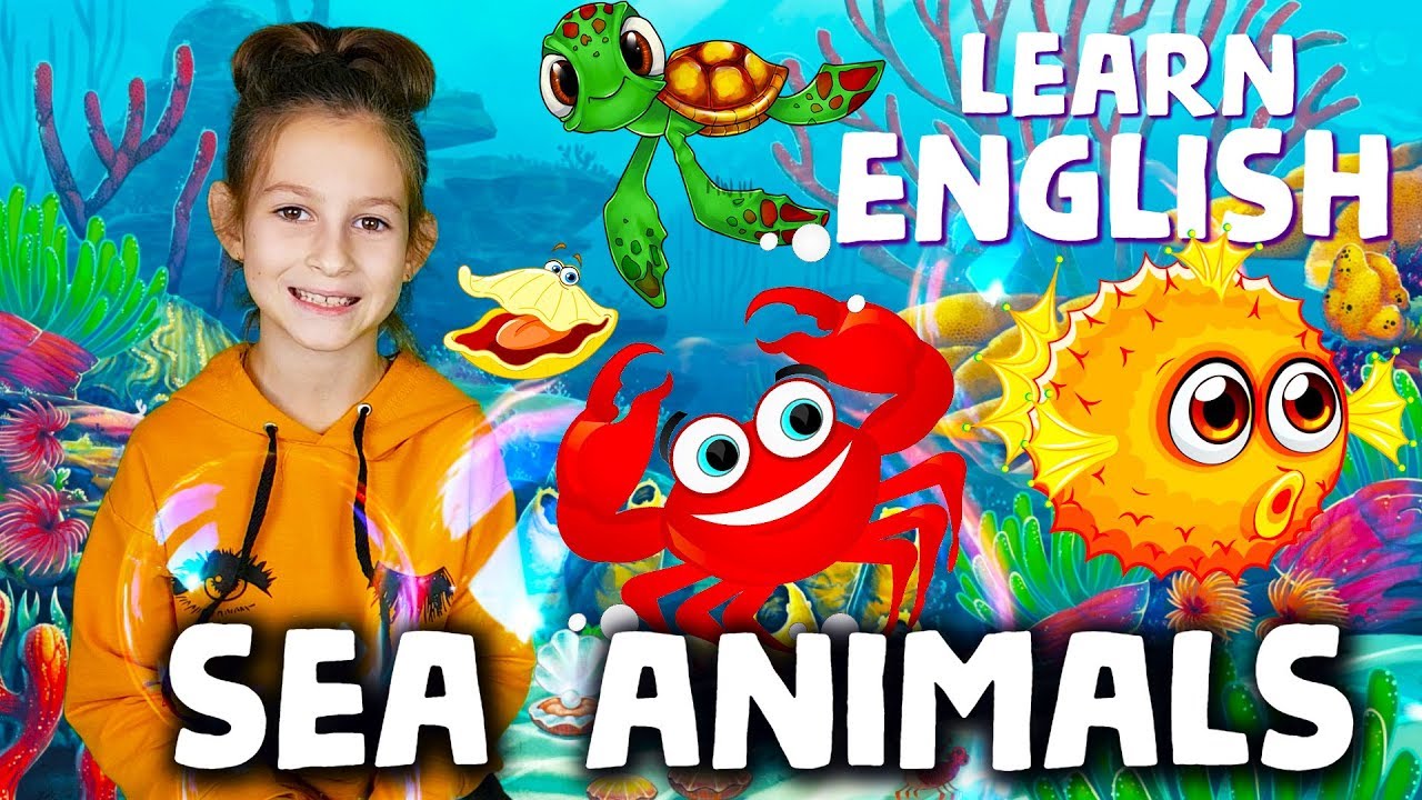 Learn English | Sea animals for kids | - YouTube