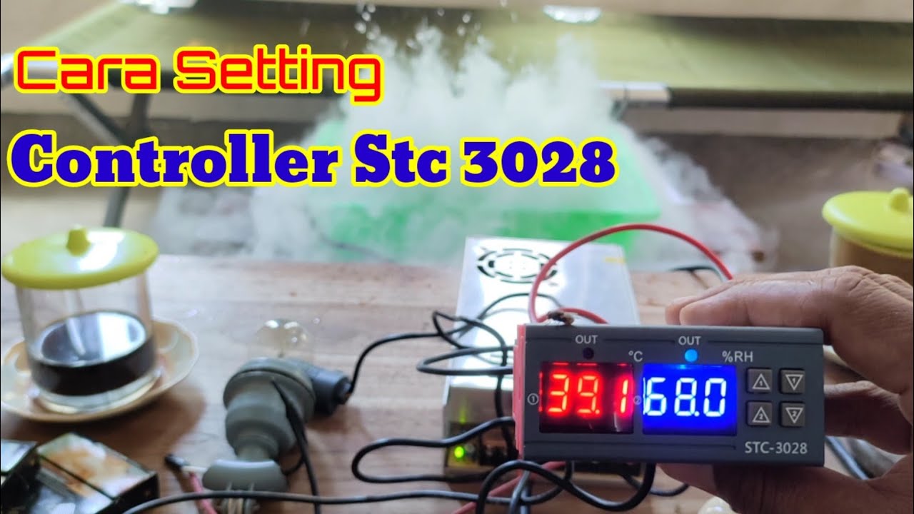 Cara Setting Thermostat STC 3028 #incubator #peternakan #duck - YouTube