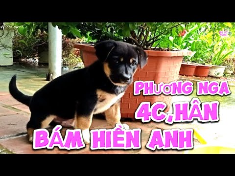 NHI ĐT VLOG 2🍏Gửi Nga 4C,hân Bám Vào Hiền Anh Lạc Phong - YouTube