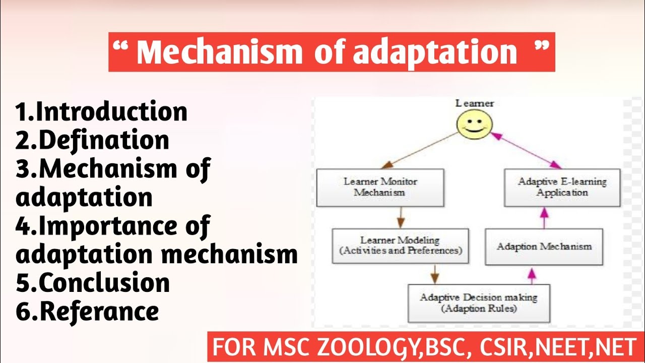 Mechanism of adaptation | Importance of adaptation mechanism - YouTube