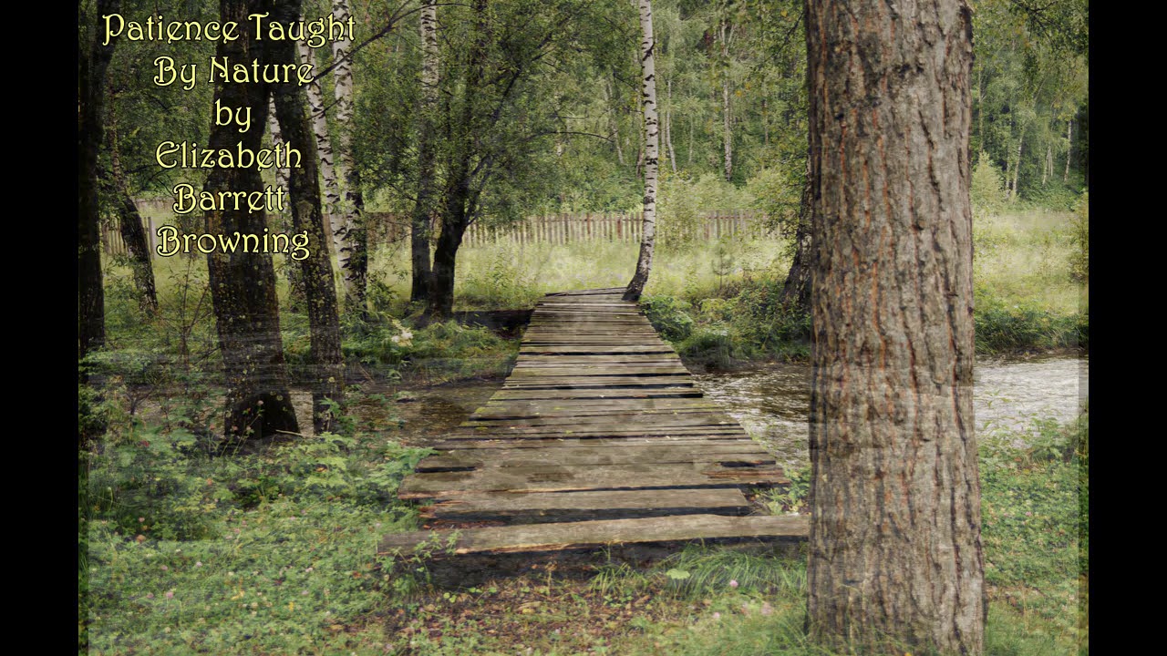 Patience Taught By Nature-Elizabeth Barrett Browning - YouTube