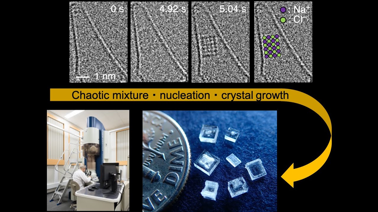 Capturing the Moment of Emergence of Crystal Nucleus from Disorder ...