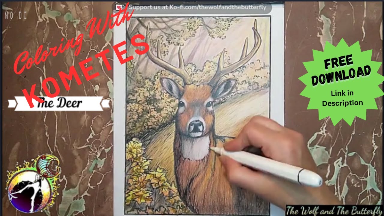 Coloring Adventure: Dive into Nature with a Stunning Deer Portrait ...