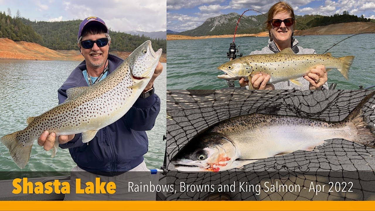Shasta Lake fishing for Rainbows, Browns & King Salmon - Apr 2022 - YouTube