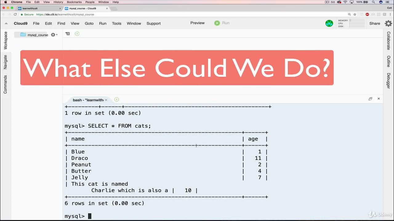 MySQL Warnings - YouTube