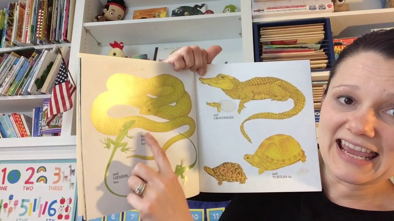 Story time: Chickens Aren’t the Only Ones - YouTube